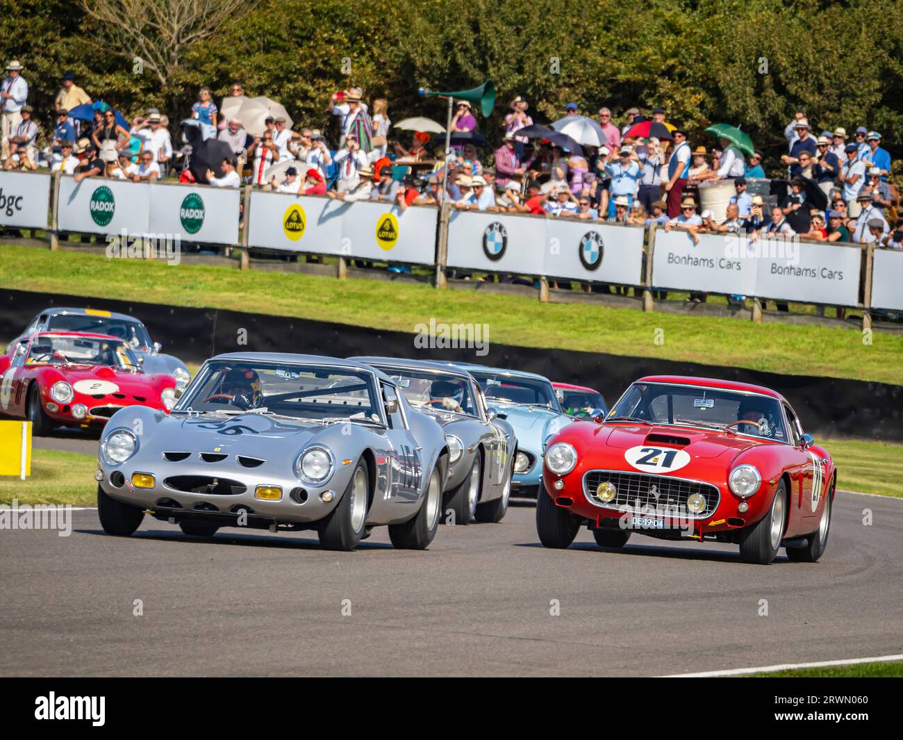 A silver Ferrari 250 GTO racing in the Lavant Cup at the Goodwood ...