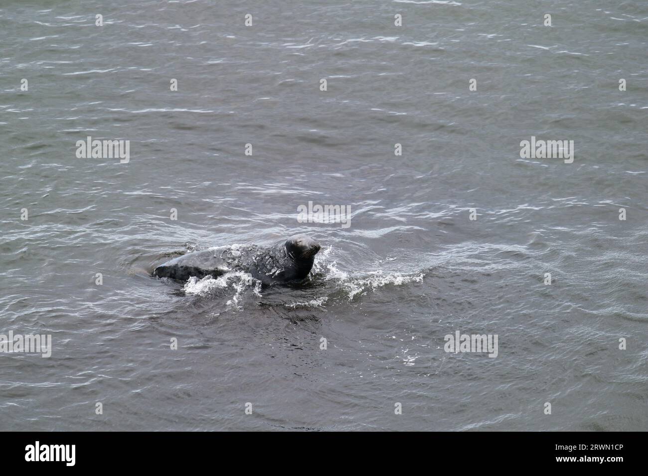 Angel bay llandudno hi-res stock photography and images - Alamy
