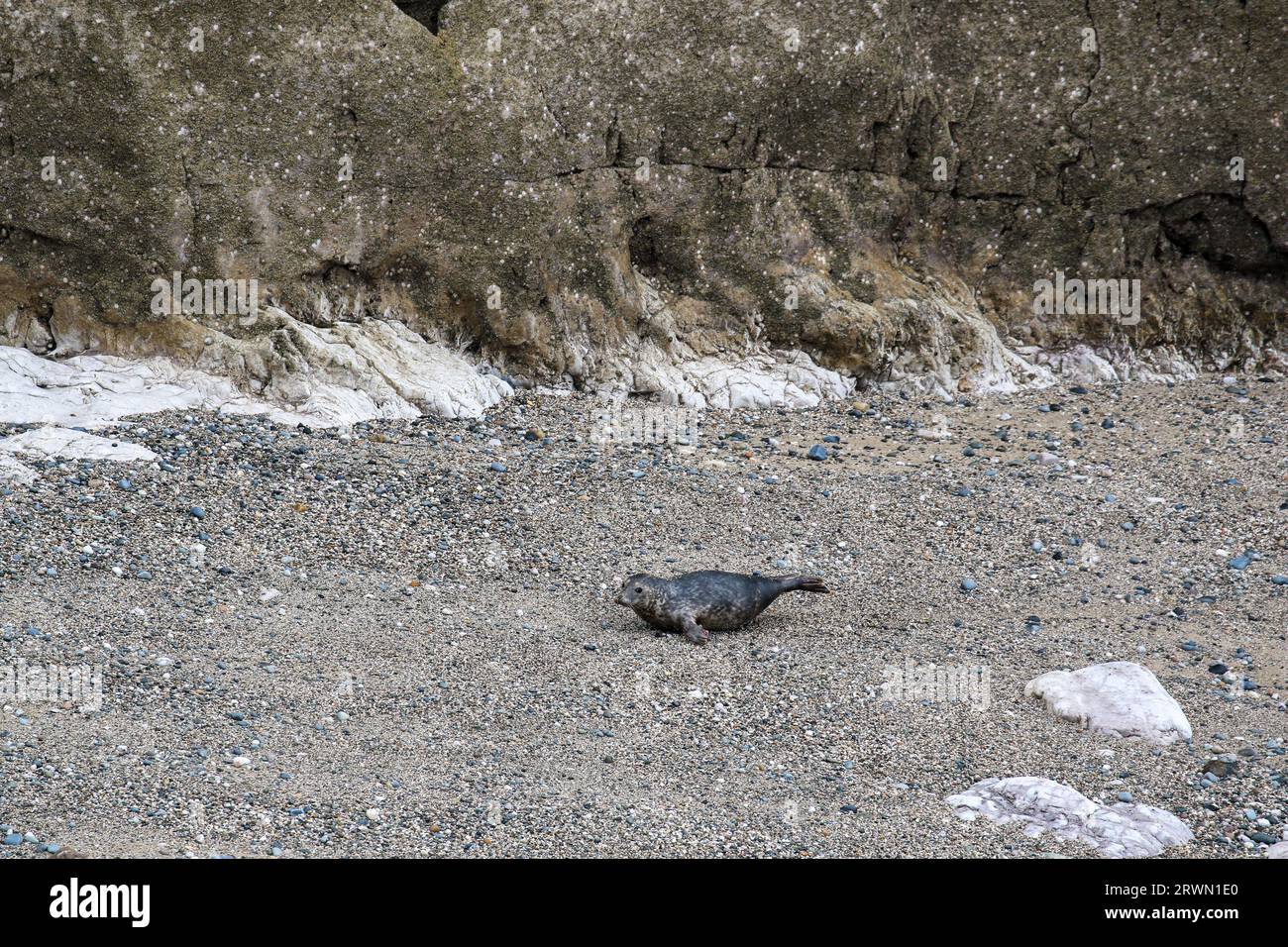 Angel bay llandudno hi-res stock photography and images - Alamy