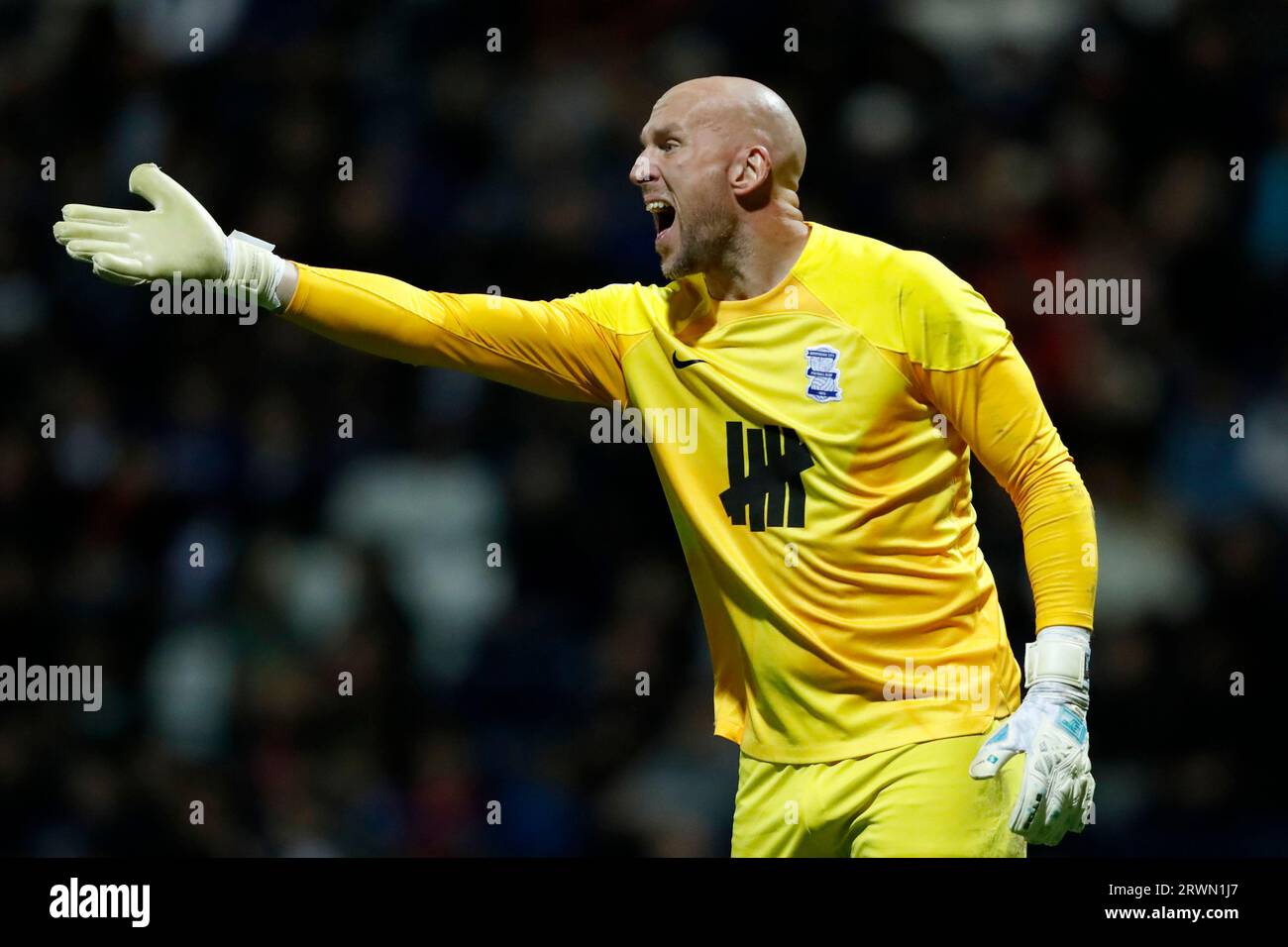Pne stadium 2023 hi-res stock photography and images - Alamy