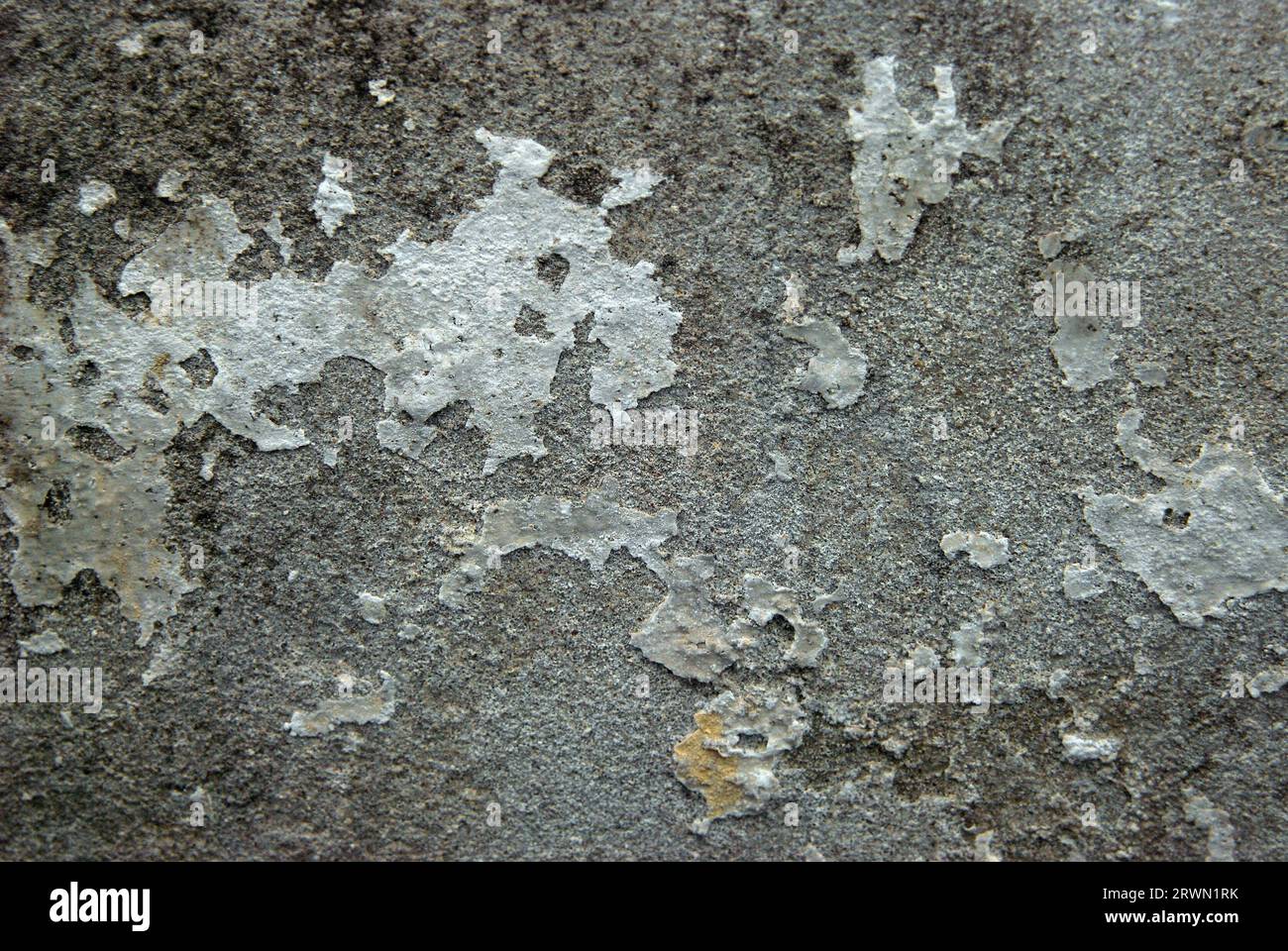 Wall , Background image of a cracked wall with peeling paint,colorless ...