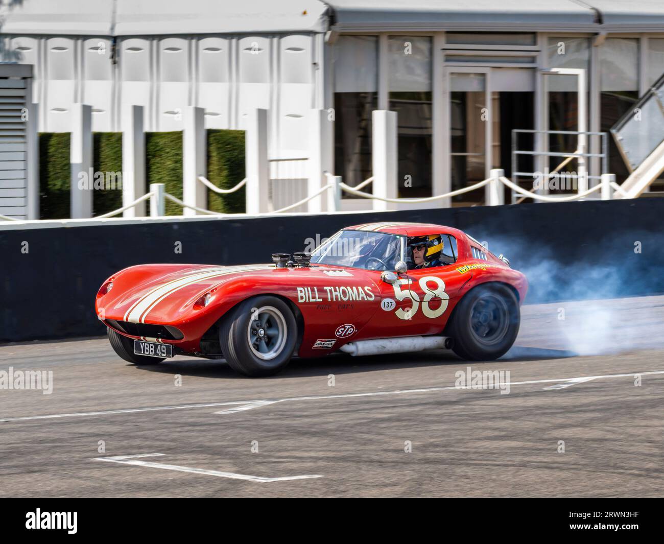 Cheetah Running Race Car Racing