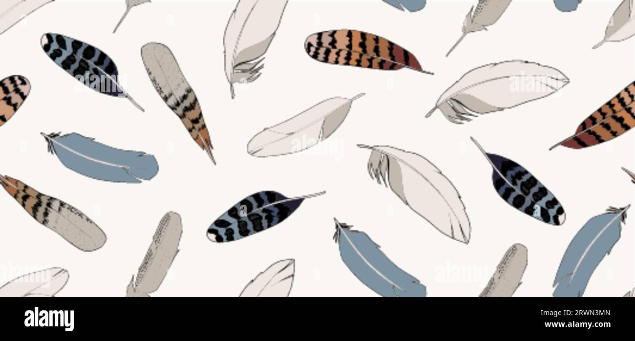 Seamless pattern with feathers. Vector illustration Stock Vector Image ...