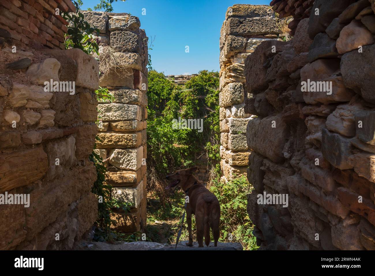 historical, stone, city, architecture, history, travel, ancient, Europe ...