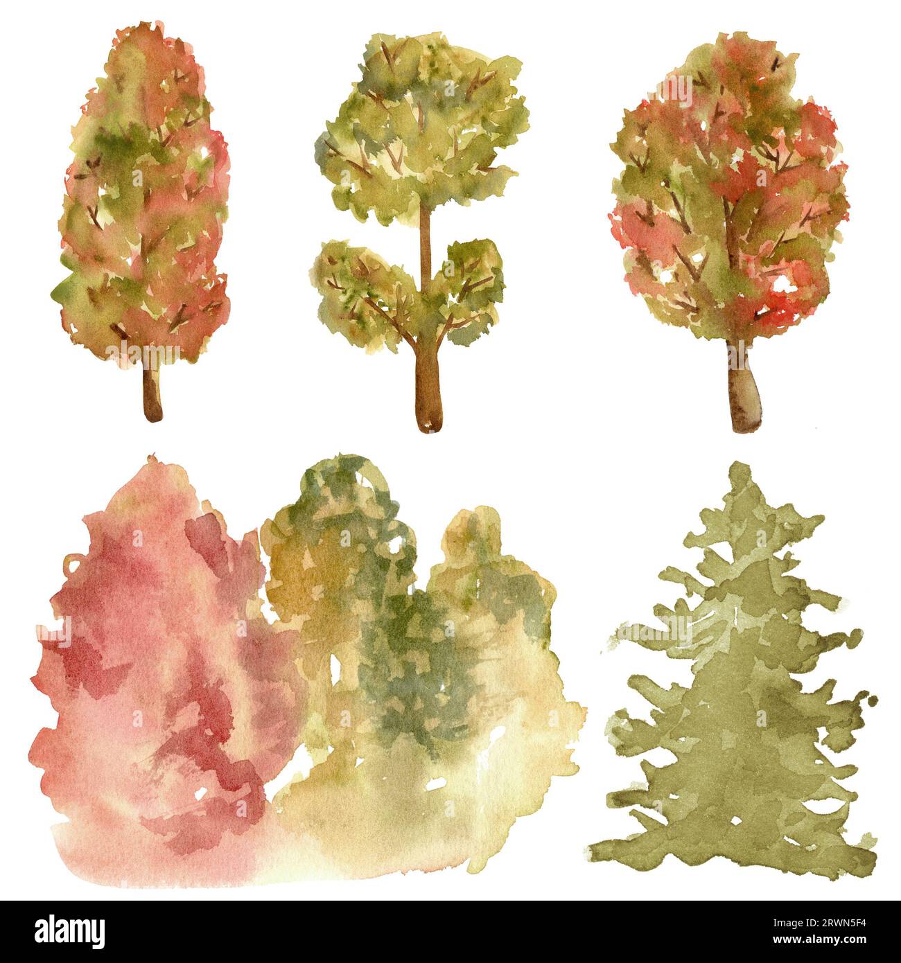 Watercolor Forest tree. Autumn tree with color leaves. Woodland ...