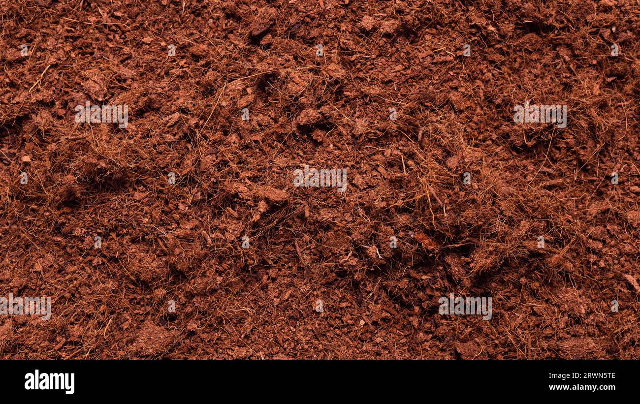 Coconut substrate background. Top view Stock Photo - Alamy