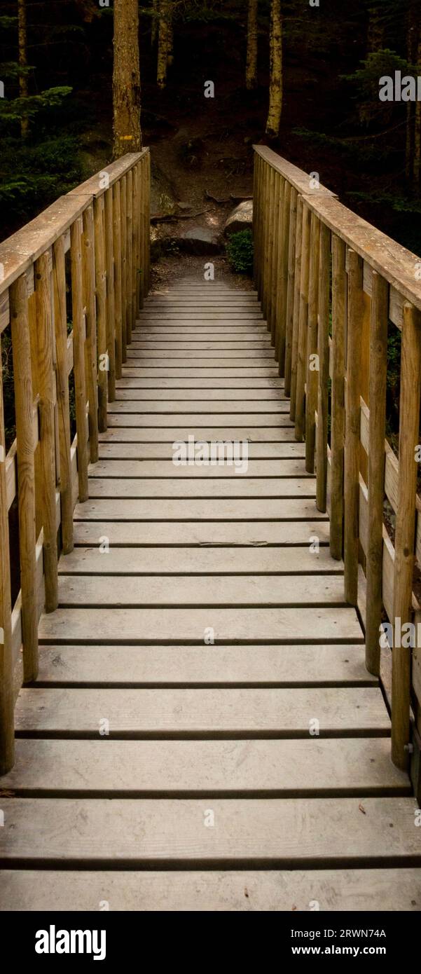 Wood bridge in a forest (august, summer, outdoor Stock Photo - Alamy