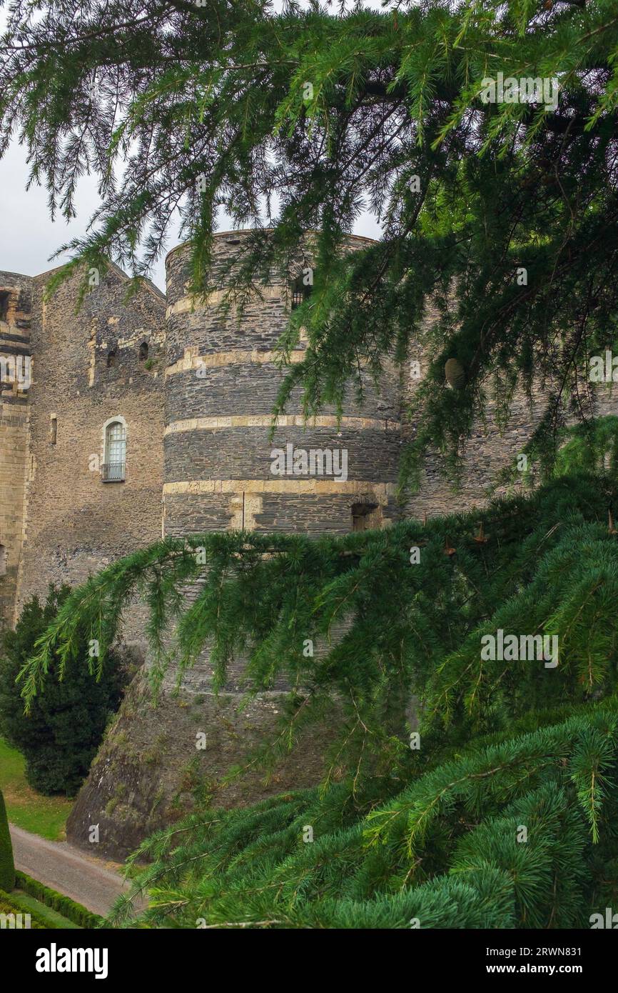 Angers, France, 2023. Two round towers of the medieval castle along the ...