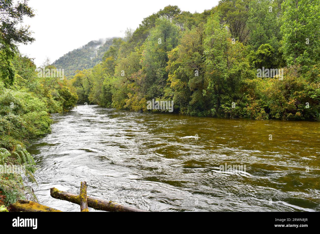Alerce Andino National Park and Biosphere Reserve. Temperate Rain ...