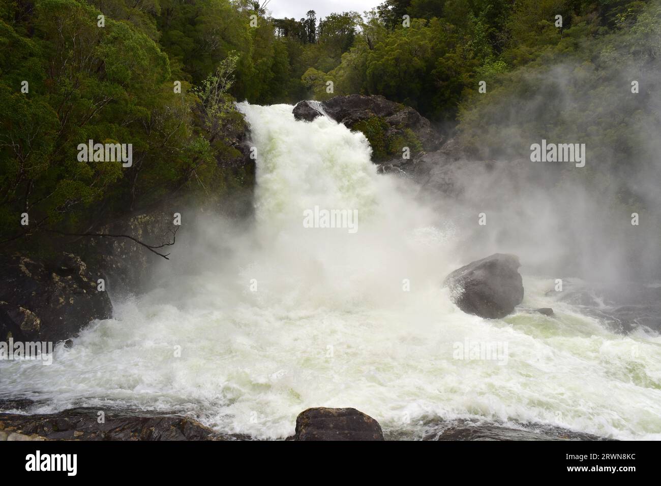 Alerce Andino National Park and Biosphere Reserve. Temperate Rain ...