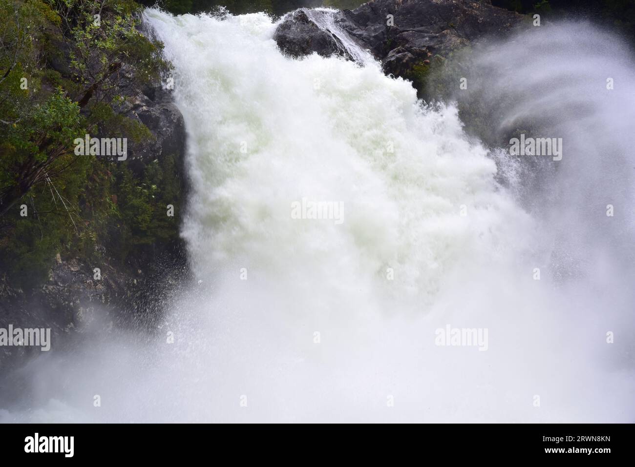 Alerce Andino National Park and Biosphere Reserve. Temperate Rain ...