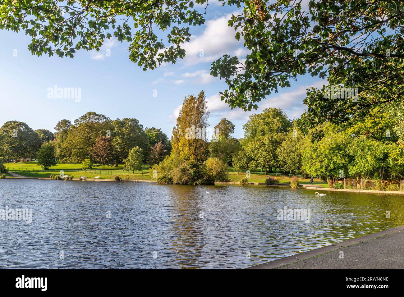 Sunny late afternoon looking across the lake in Abinton Park ...