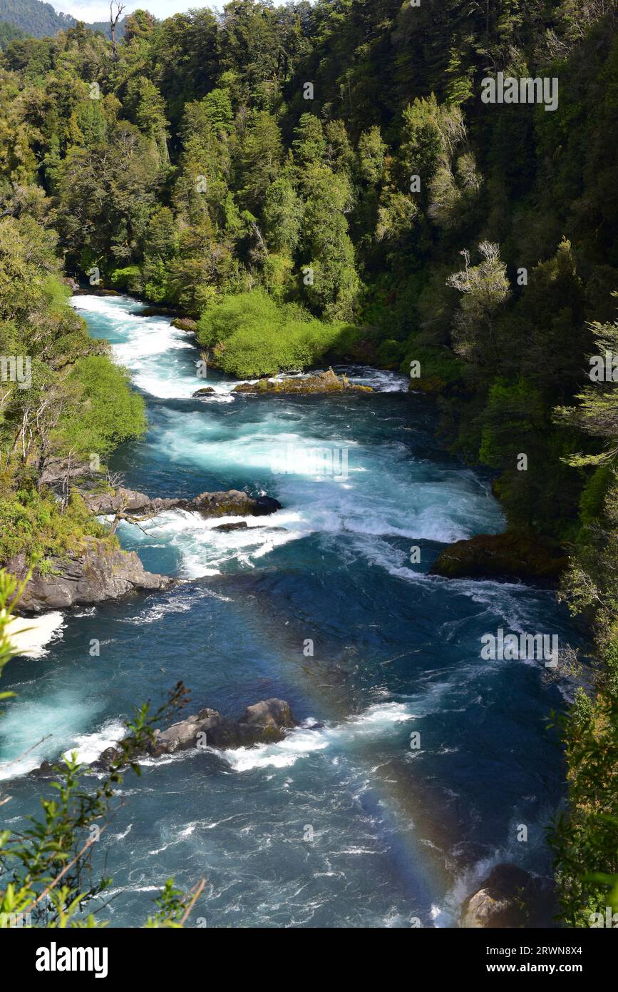 Huilo Huilo Biological Reserve. Huilo Huilo river. Andes Patagonicos ...