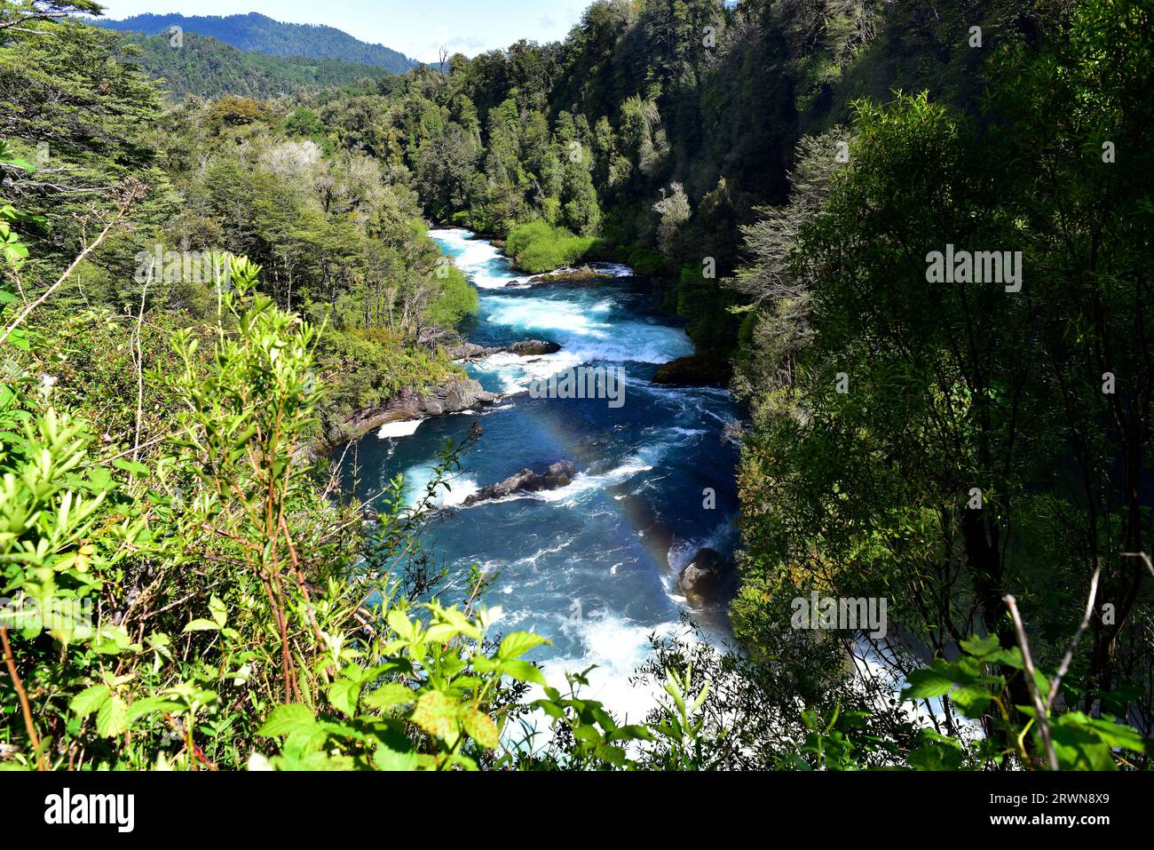 Huilo Huilo Biological Reserve. Huilo Huilo river. Andes Patagonicos ...