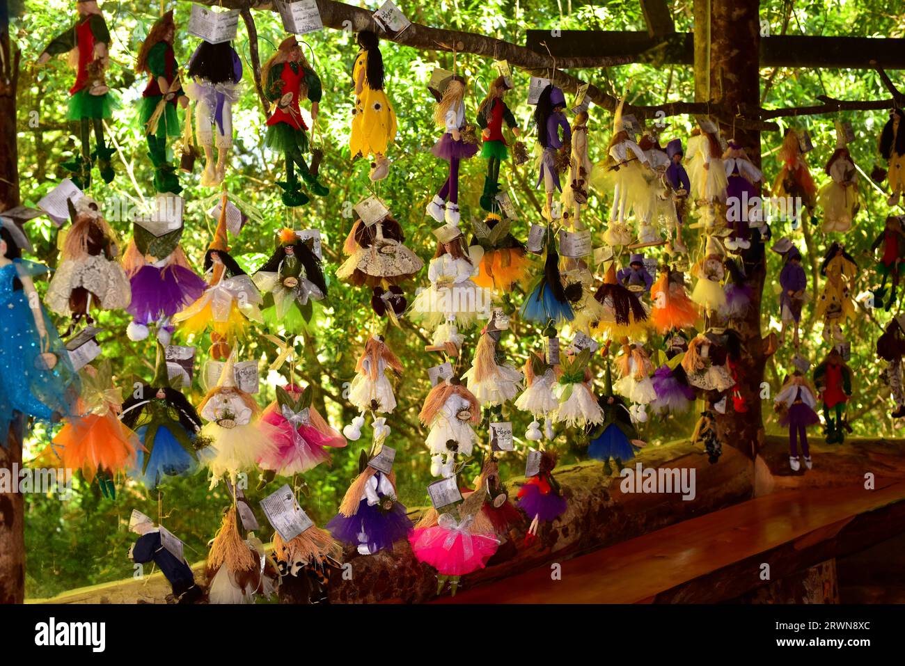 Huilo Huilo Biological Reserve. Goblins forest. Andes Patagonicos ...