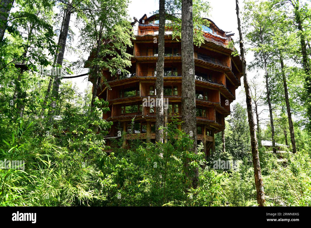 Huilo Huilo Biological Reserve. Nothofagus hotel. Andes Patagonicos ...