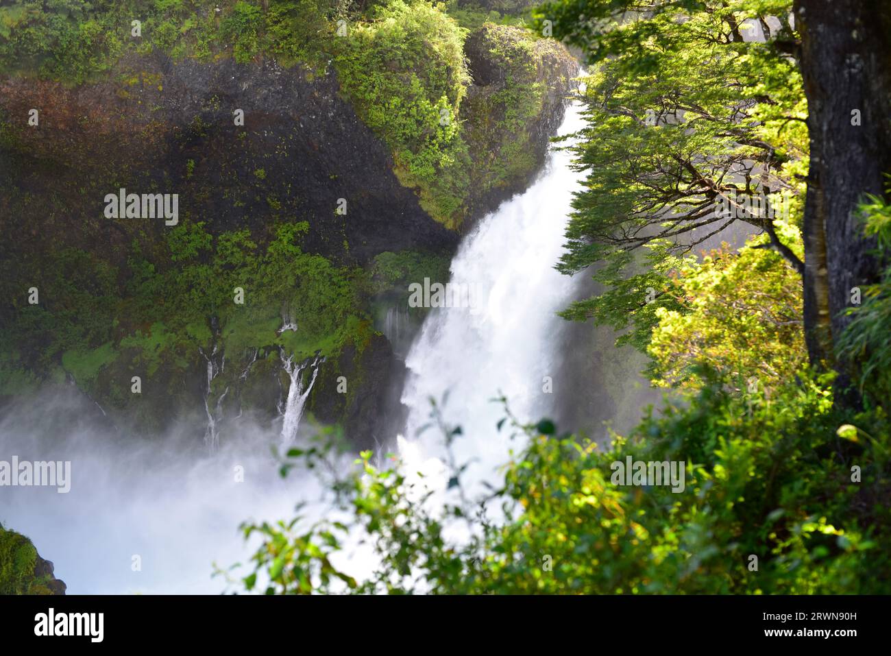 Huilo Huilo waterfall. Region de Los Rios, Chile Stock Photo - Alamy
