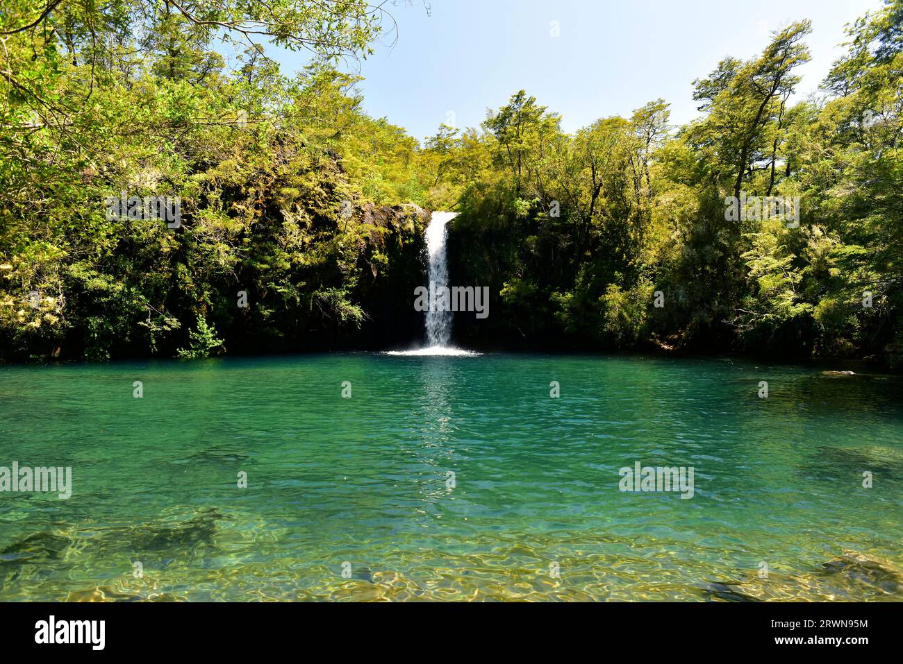 Bosque templado hi-res stock photography and images - Alamy