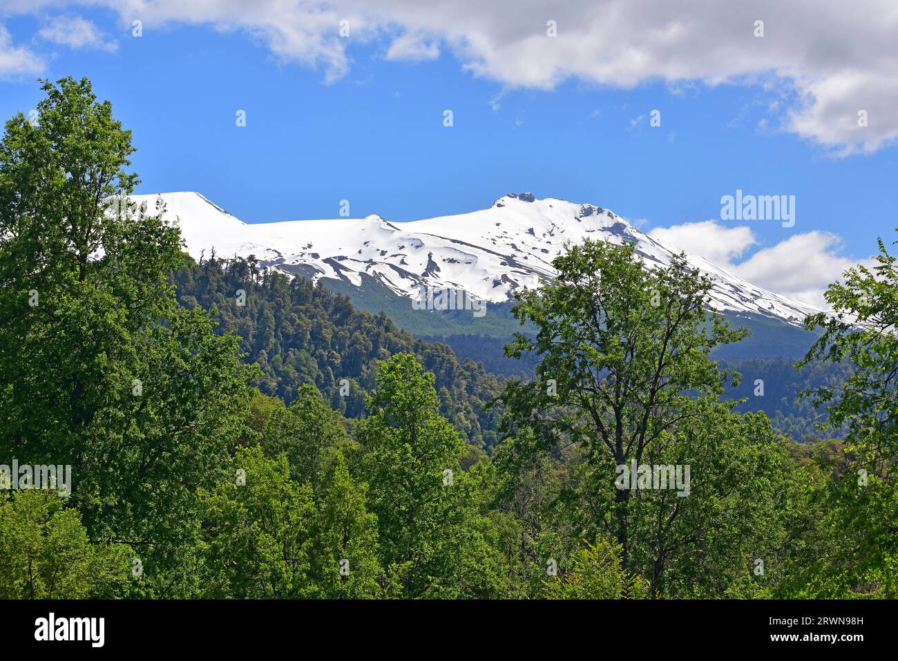 Mocho-Choshuenco volcano (stratovolcano). Panguipulli, Valdivia ...