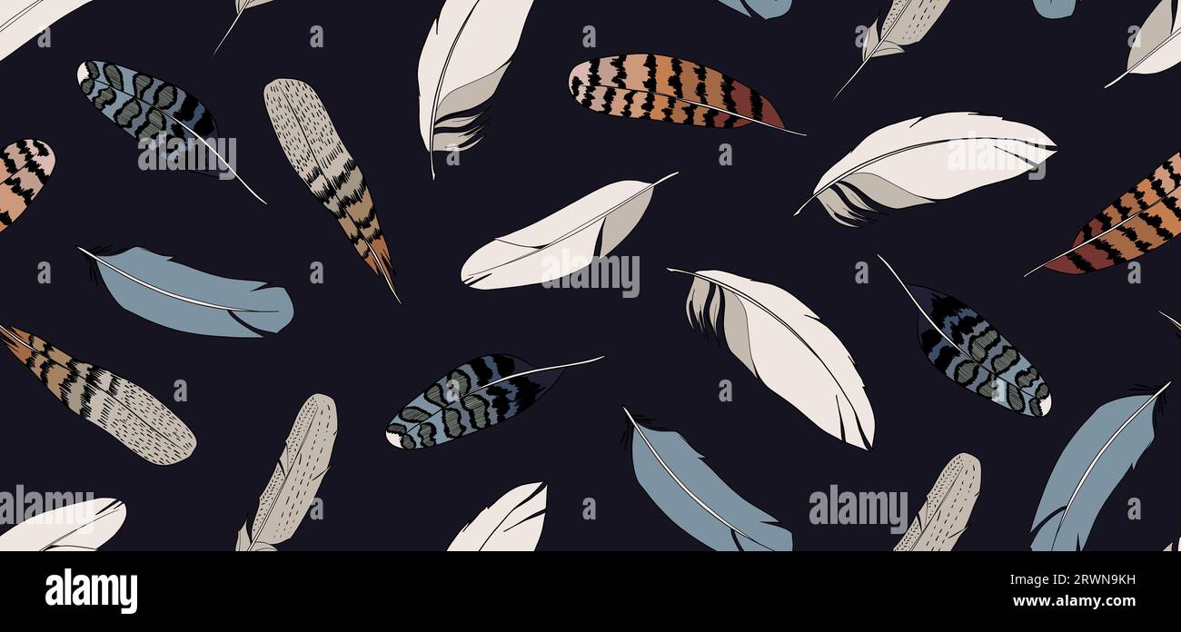 Seamless pattern with feathers. Vector illustration Stock Vector Image ...
