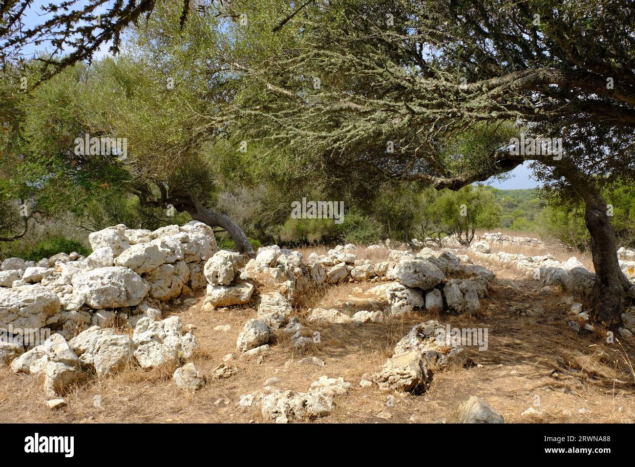 Prehistoric sites in Talayotic Menorca Located on the island of Menorca ...