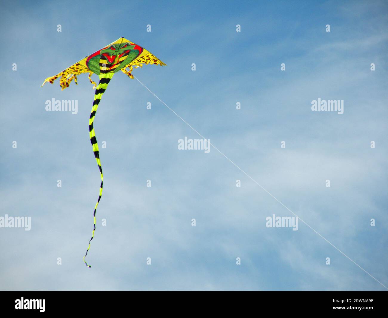 Colorful kite with snake image in clear sky Stock Photo - Alamy