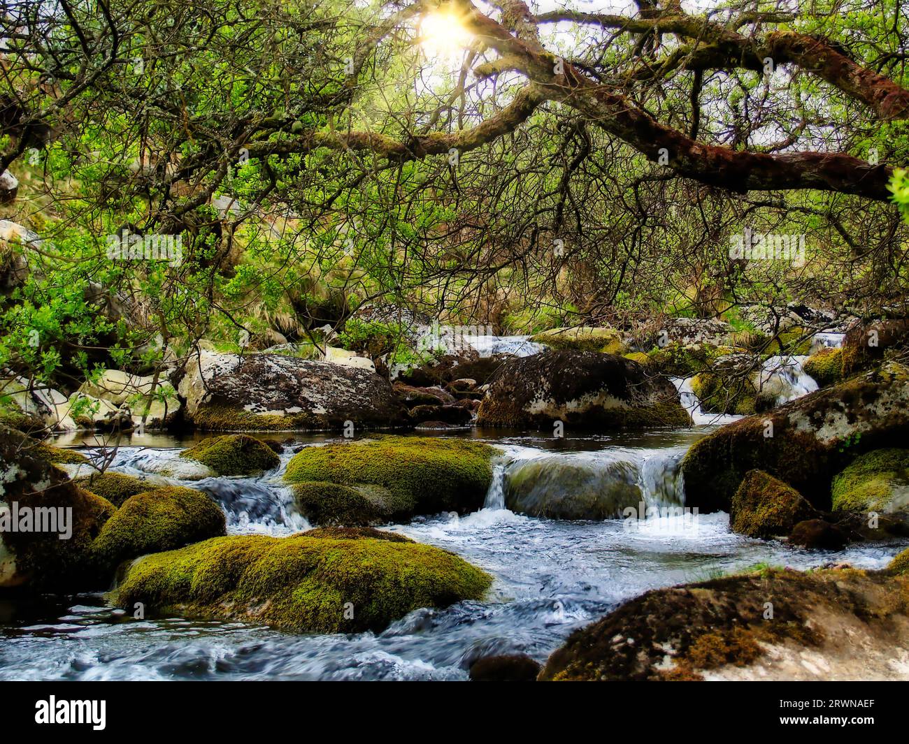 Lady brook hi-res stock photography and images - Alamy