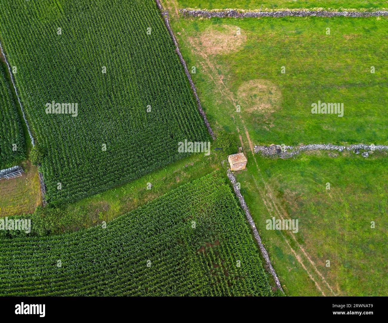 Drone cornfields hi-res stock photography and images - Alamy