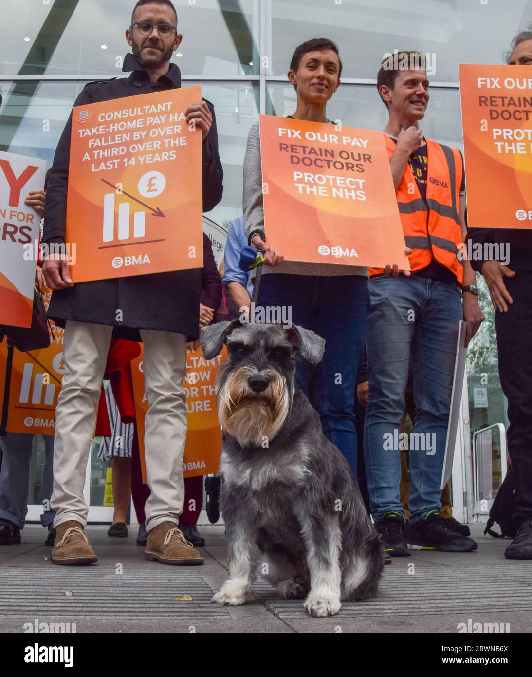 London, UK. 20th September 2023. A dog joins the British Medical ...