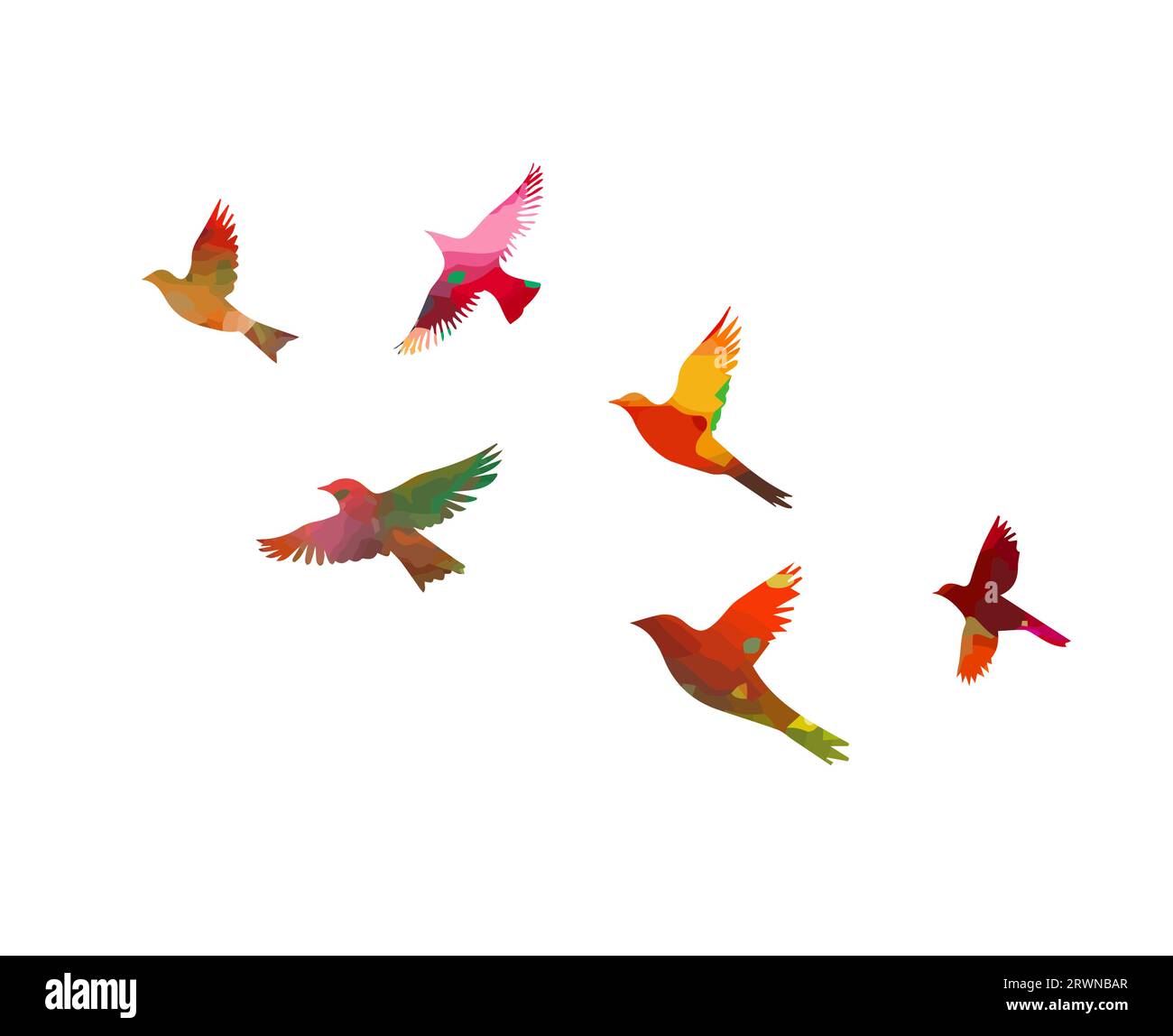 A flock of colored birds. Vector illustration Stock Vector Image & Art ...