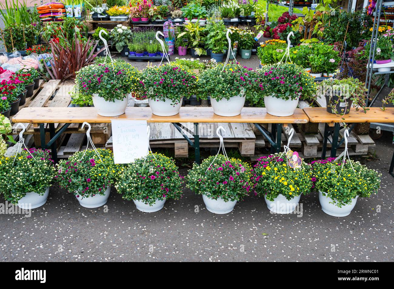 Hanging baskets uk hi-res stock photography and images - Alamy