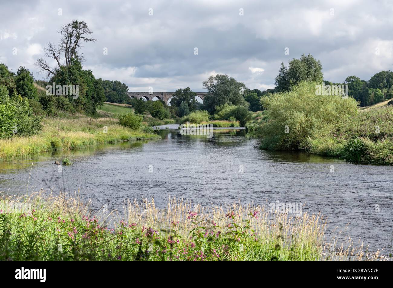 River teviot bridge hi-res stock photography and images - Alamy