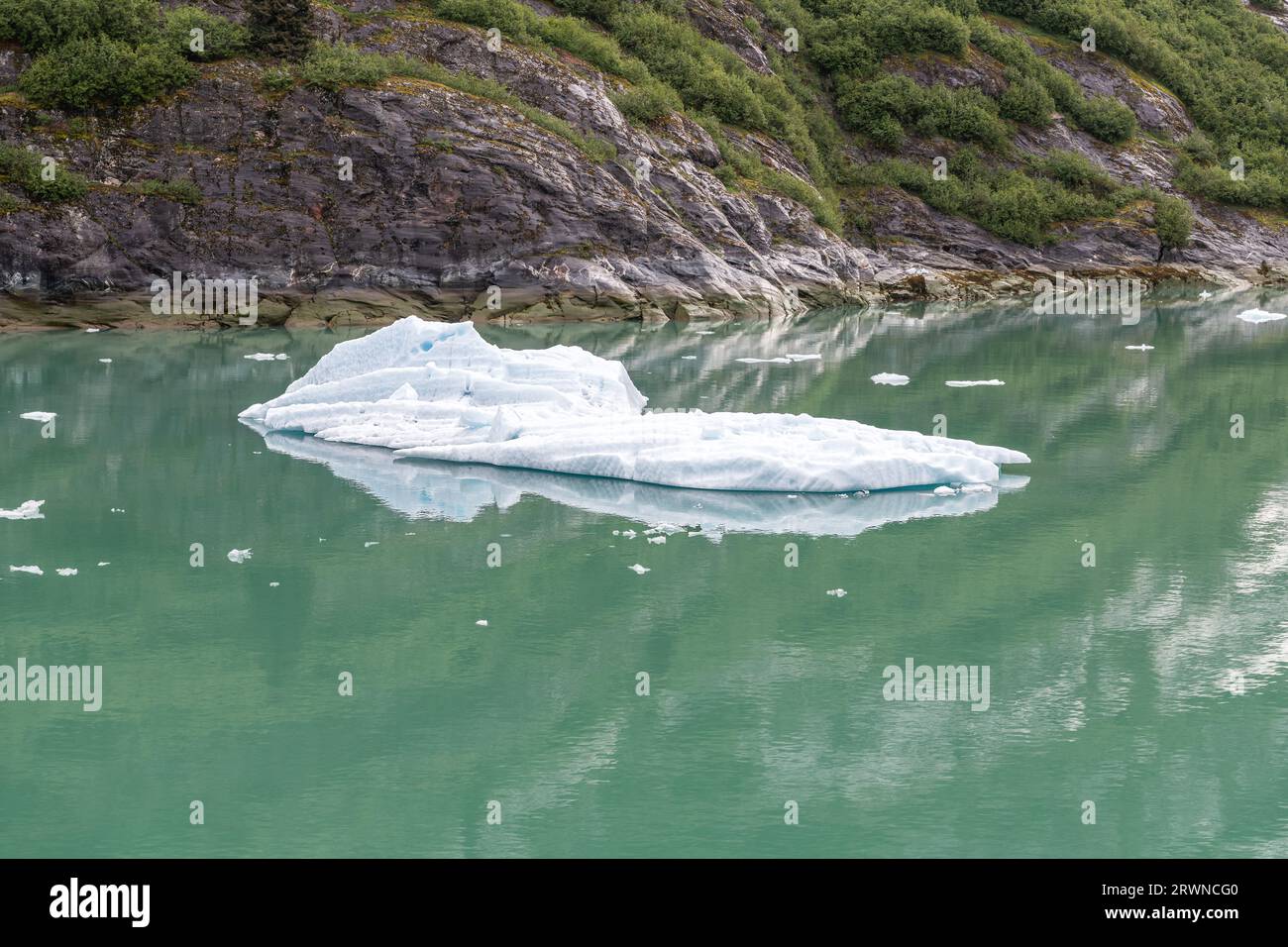 Growler (small iceberg) floating in the sea in the Tracy Arm Inlet ...