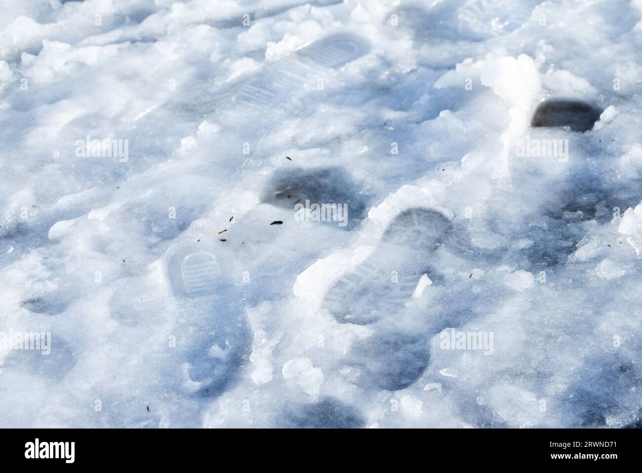 Footprints in wet snowy road, close up photo with selective soft focus ...