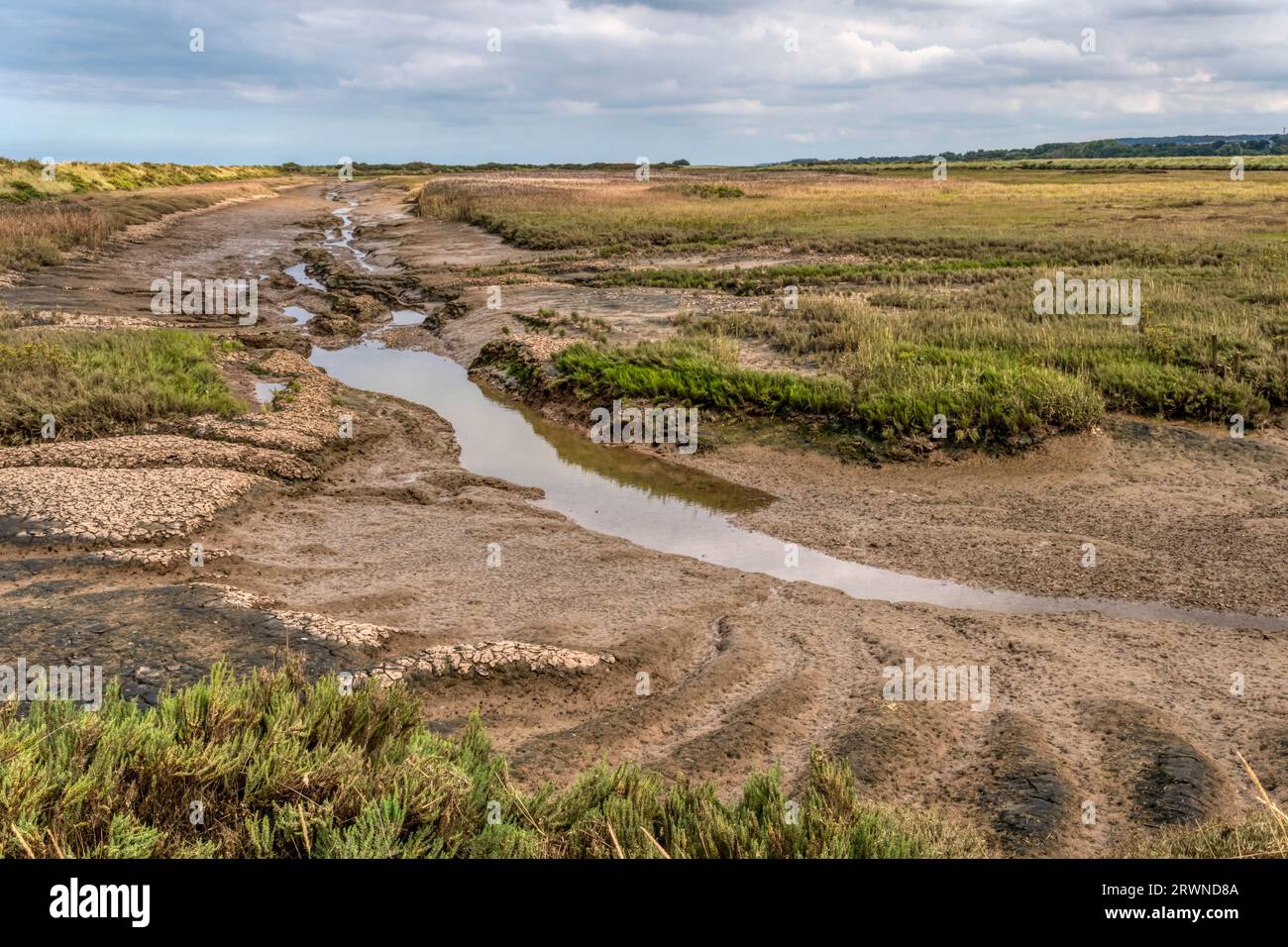 North Norfolk coastal marshes at Volunteer marsh on RSPB Titchwell ...