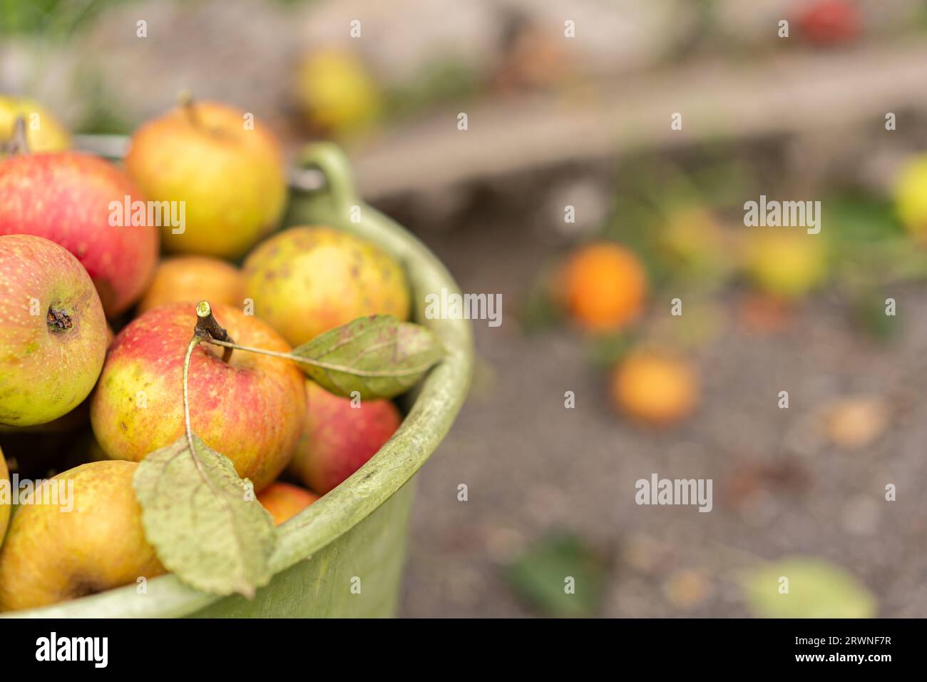 Big apple crop hi-res stock photography and images - Alamy