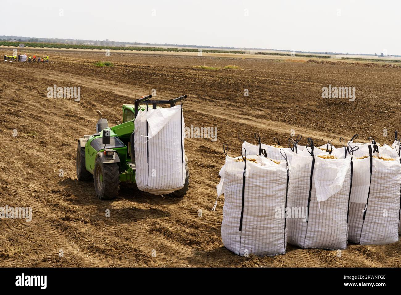 Harvesting distribution transport hi-res stock photography and images ...