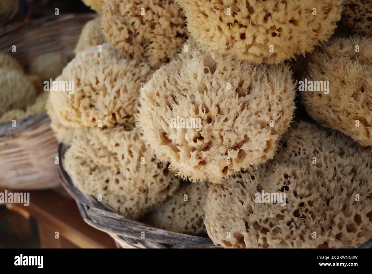 Sea sponge on display in street shop on Symi island ,Rhodes, Greece ...