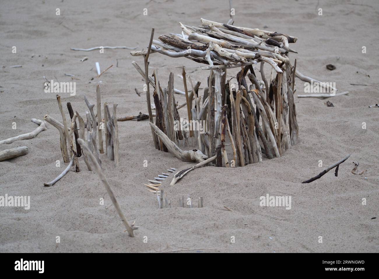 Small structure made of sticks on Turkey Point beach, Ontario Stock ...