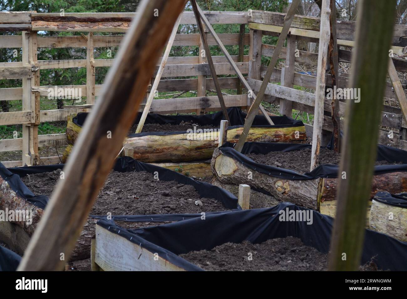Raised garden boxes early in the spring prior to planting, wood fence ...