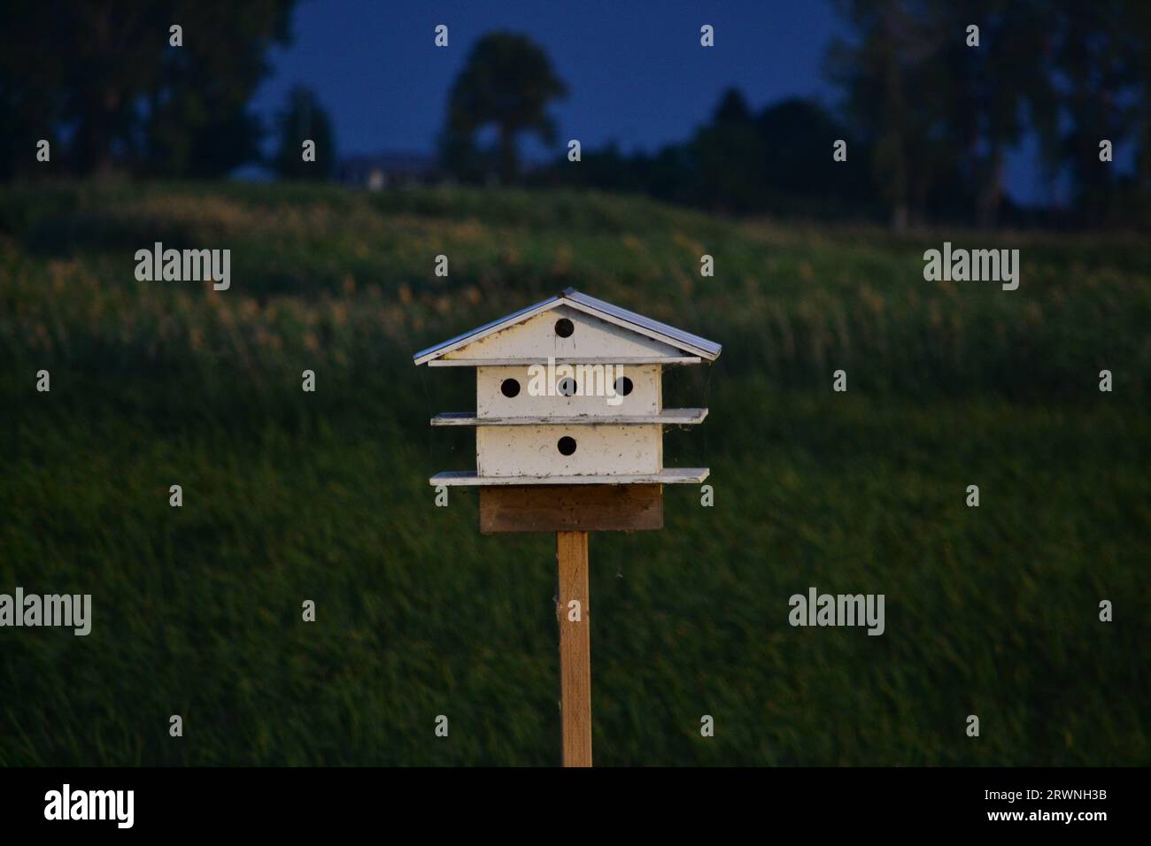 Bird house in the Long Point world biosphere reserve Stock Photo - Alamy