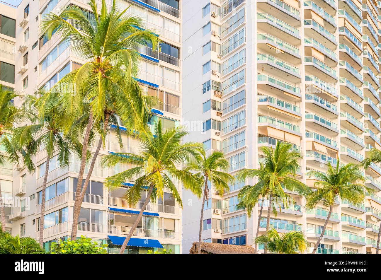 Hotels and palm trees on the waterfront in Acapulco, Guerrero, Mexico ...