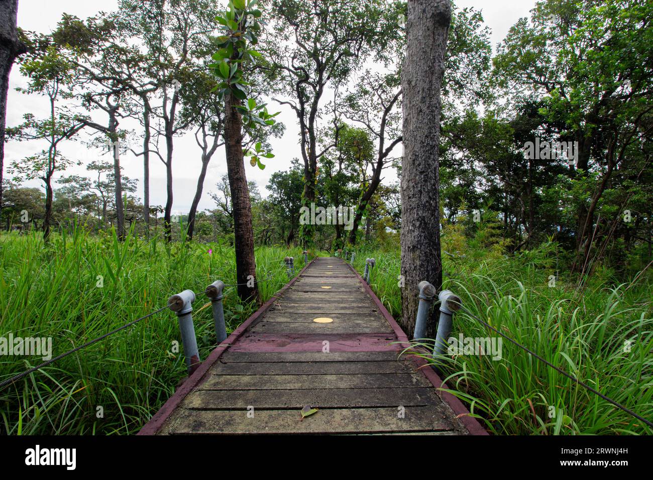 Pathway walkway hi-res stock photography and images - Alamy