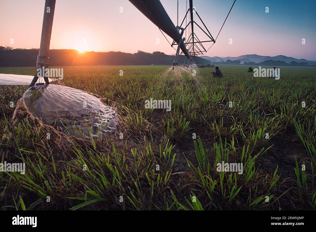 Irrigation land of Saudi Arabia Stock Photo - Alamy
