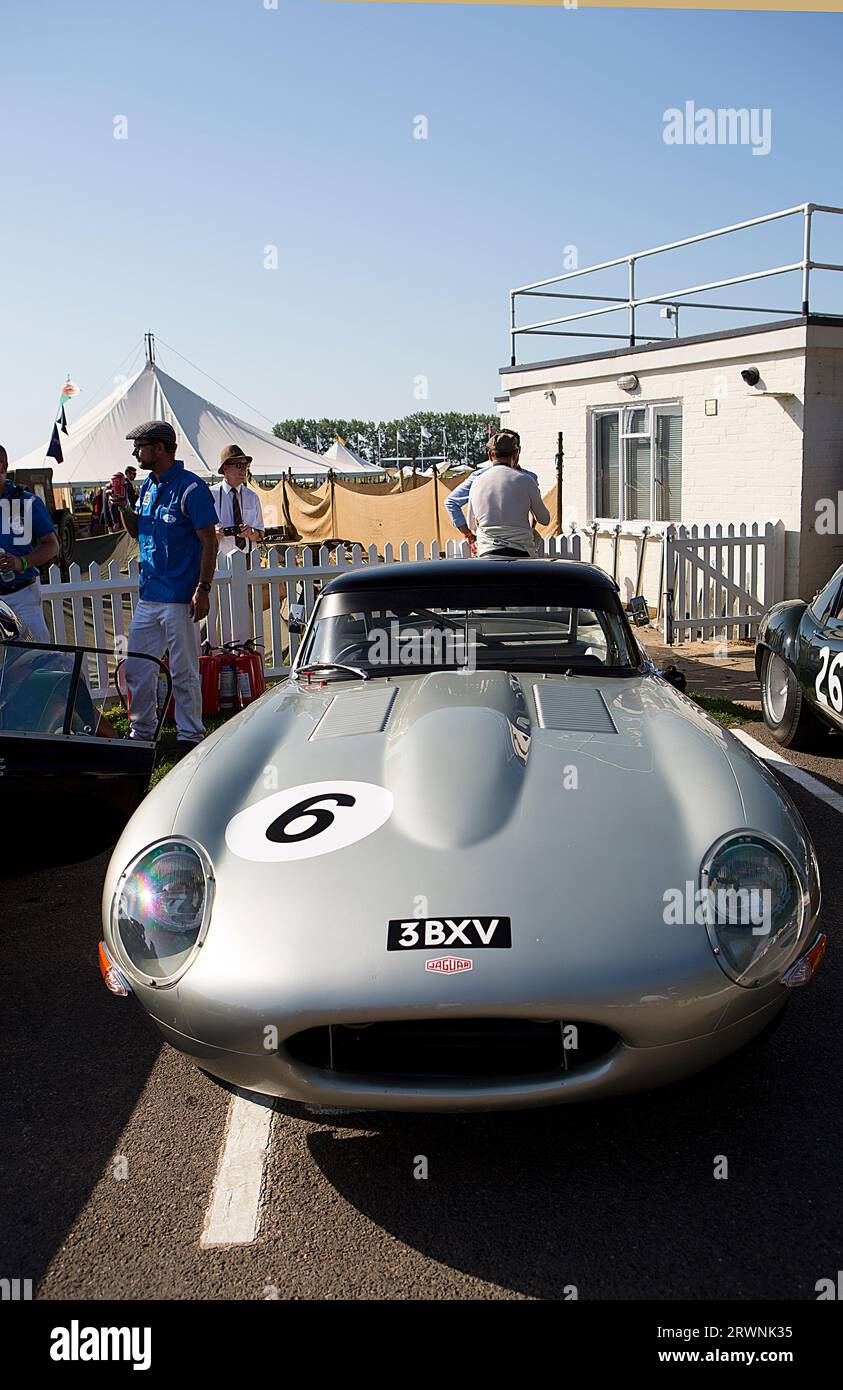 1961 Jaguar E-type 'semi-lightweight' entered for The Royal Automobile ...