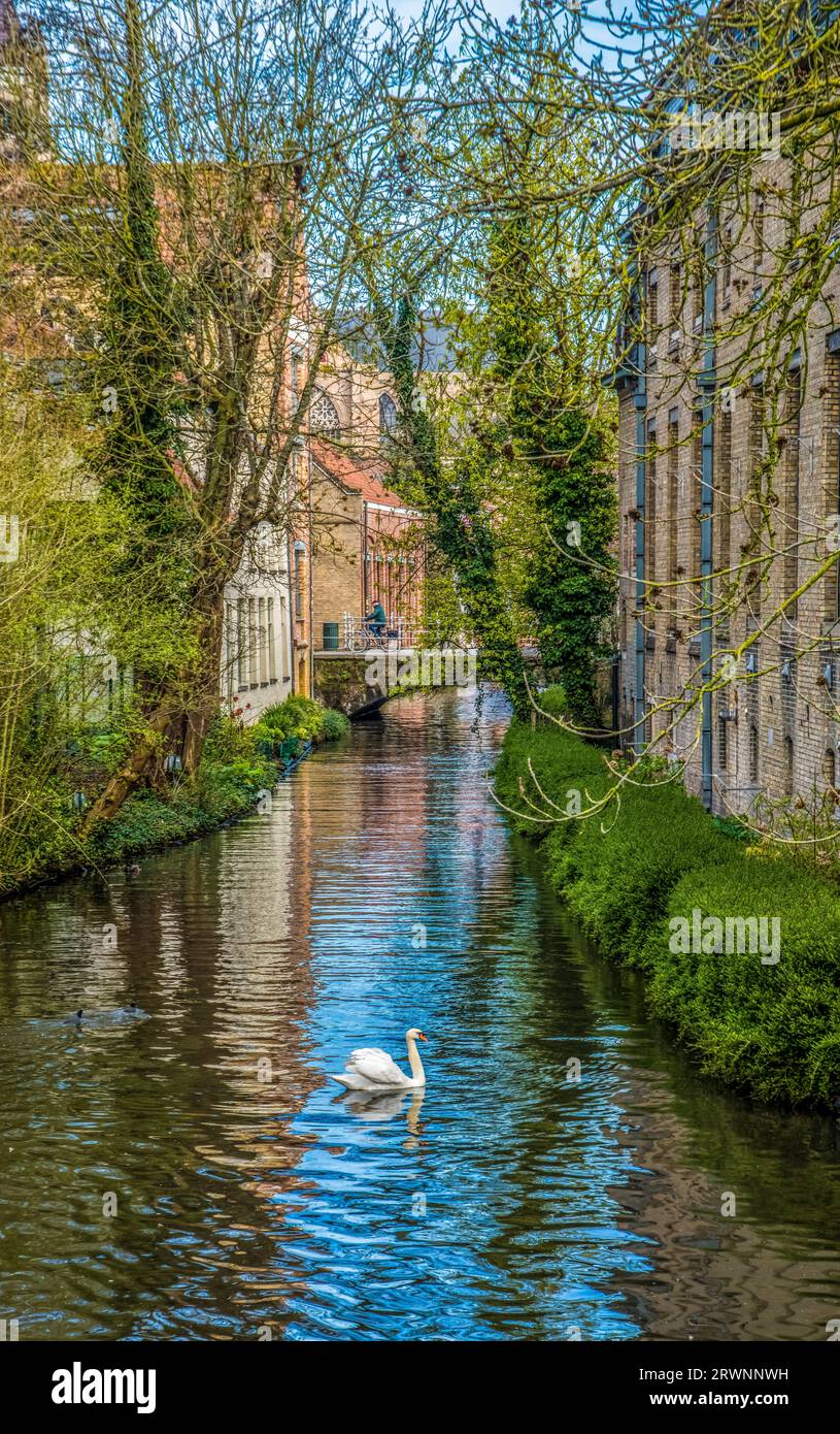 Buildings of bruge hi-res stock photography and images - Alamy