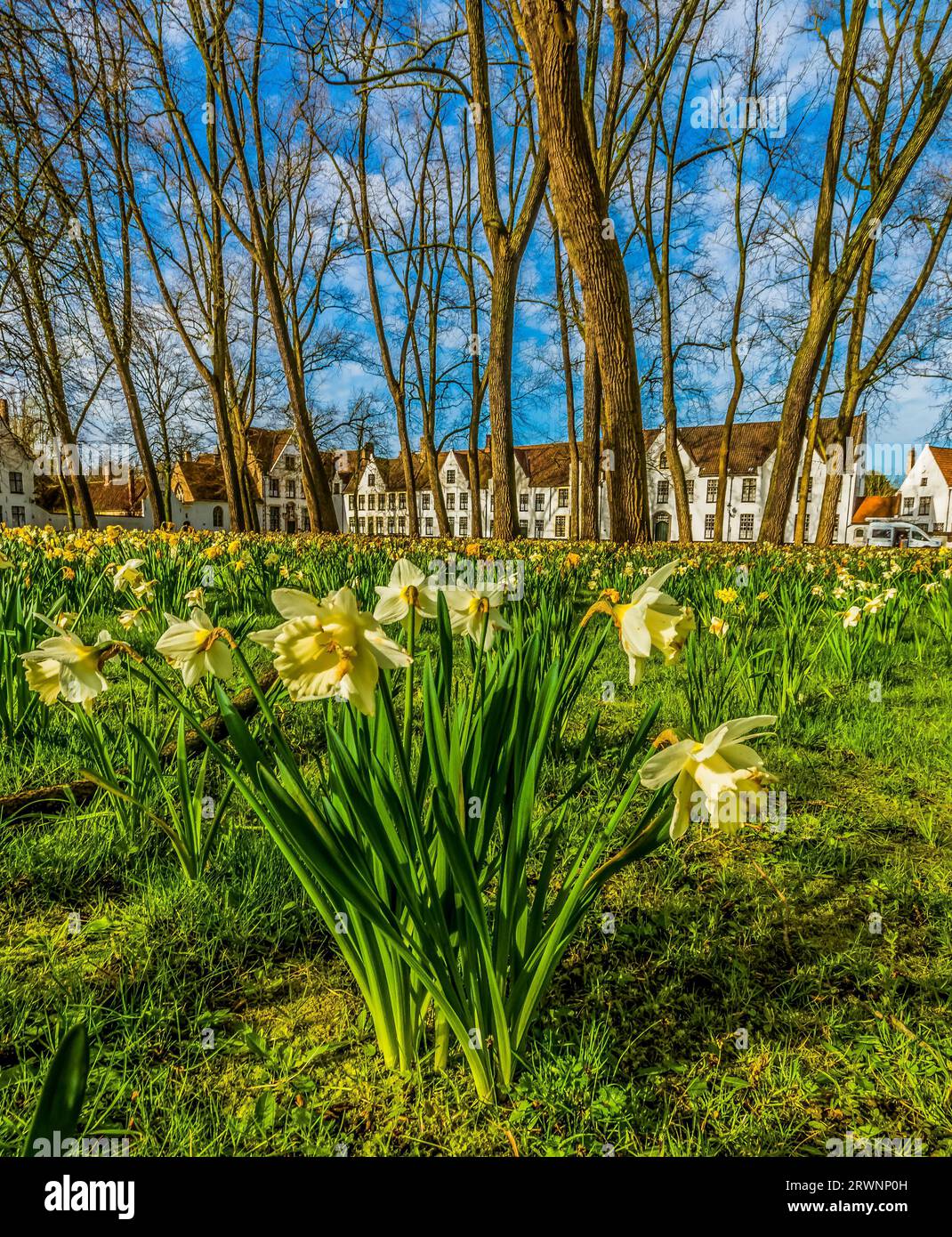 Street scenes bruge hi-res stock photography and images - Alamy