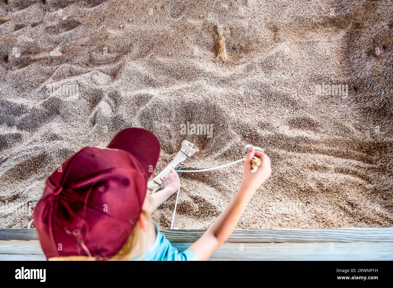 Child pretending to be a paleontologist digging for fossil dinosaur bones in a sand pit Stock ...