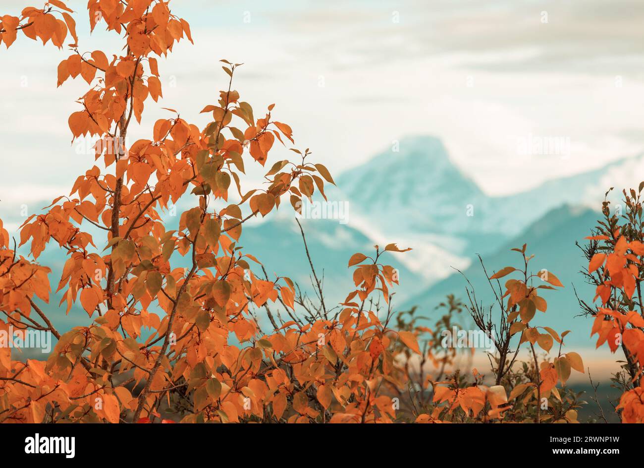 Picturesque Mountains of Alaska in autumn. Snow covered massifs ...