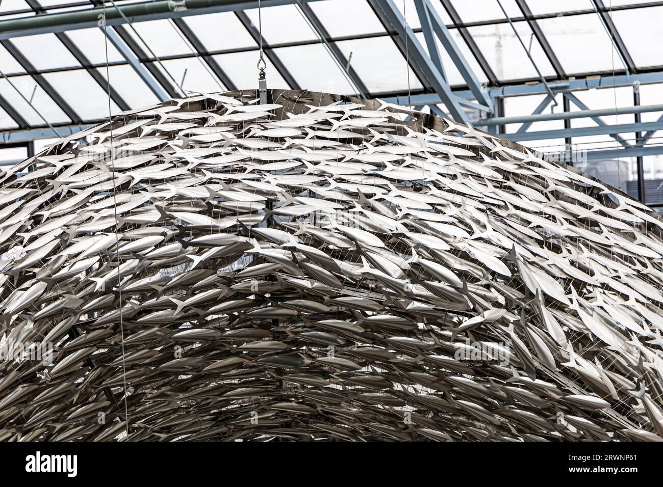 Part of the sculpture of a school of fish made of silvered metal ...